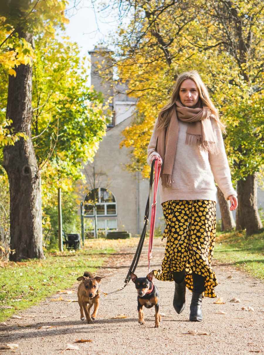 5 Good reasons to adopt a pet in midlife and beyond